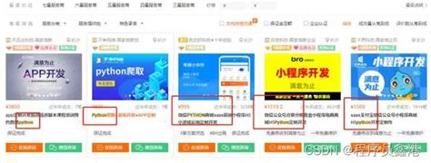 自学python编程23天赚了8976，无需露脸，方法都在这里自学编程怎么赚钱 Csdn博客