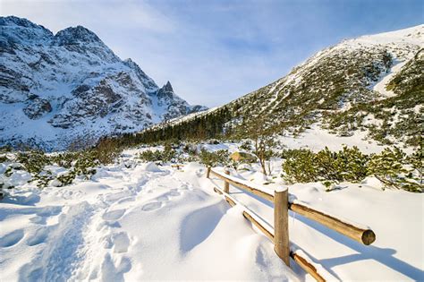 Tatra 산 폴란드의 겨울 풍경에서 냉동된 모르스키 이내 호수 근처 나무 울타리 겨울에 대한 스톡 사진 및 기타 이미지
