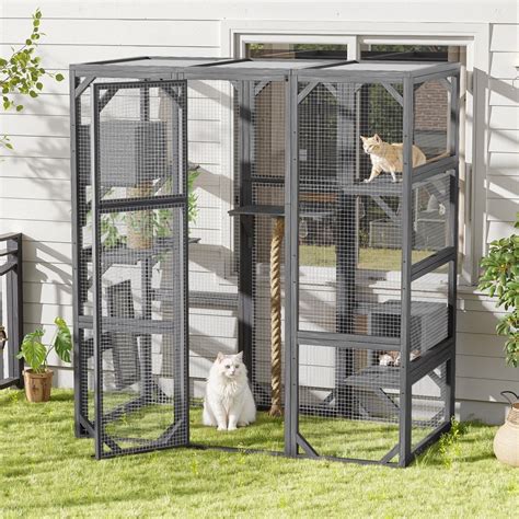 Outdoor Cat House Diy Cat Enclosure And Catio With Double Entry Doors