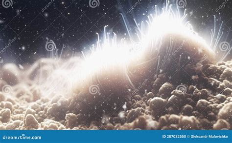 Fungus And Mold Under A Microscope Stock Footage Video Of Hygiene
