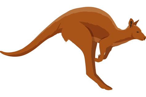 Kangaroo Australian Animal Kangaroo Jumper Australia