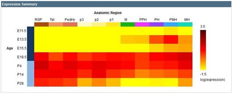 allen developing mouse brain atlas in situ hybridization ish data