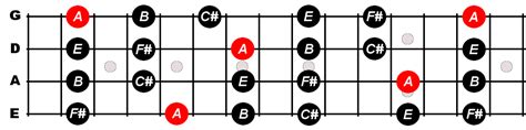 Bass Pentatonic Scale Chart Pentatonic Scale Major Bass African Position
