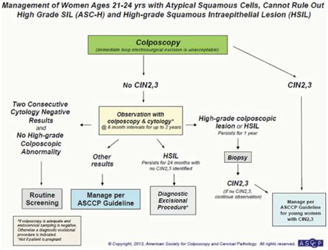 Abnormal Cervical Cytology And Human Papillomavirus Obgyn Key