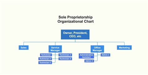 Organizational Chart Of A Sole Proprietorship Busines
