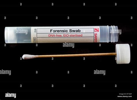 Forensic Cotton Swab For Securing Dna Sterile Dna Trace Analysis