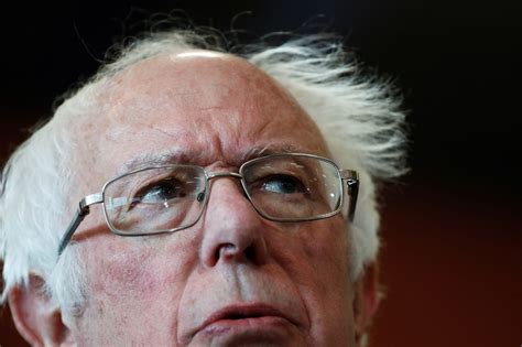 Donald Trumps Rise Proves Bernie Sanders Could Be The 2020 Democratic