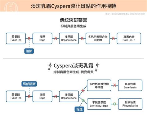 肝斑黑斑網路瘋傳的淡斑乳霜Cyspera希思珮樂真的有效嗎 台中 二林四季皮膚科 20SKIN美醫集團