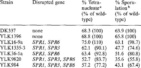 Sporulation Of Strains Homozygous For Combinations Of Spr Gene