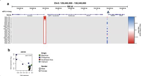 Eqtl Loci A Region On Chromosome 3 Containing The Abcb4 Cis Eqtl In