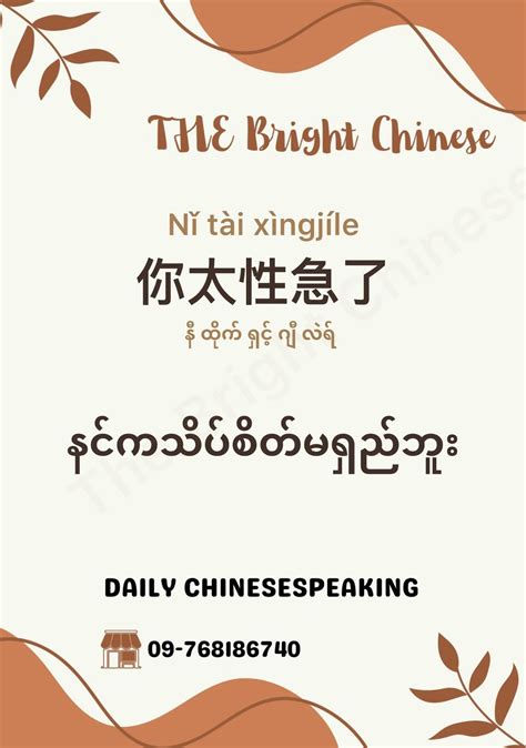 The Bright Chinese Class Added The Bright Chinese Class