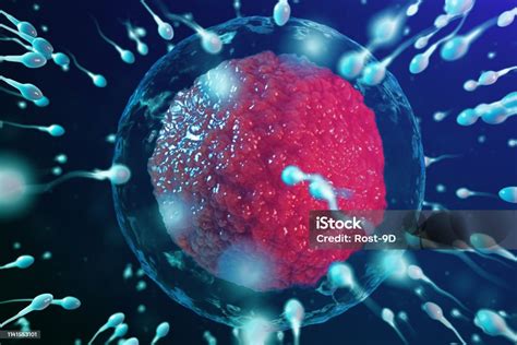 3d 그림 정자 및 계란 세포 Ovum 달걀 세포에 접근 하는 정자 원주민 및 자연 풍부 함 새로운 삶의 시작을 컨셉으로 합니다