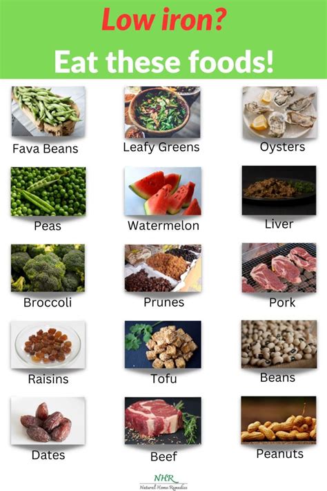 Foods With High Iron Artofit