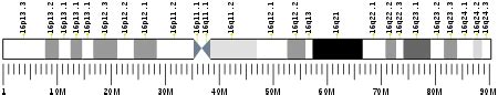 IRX Wikipedia