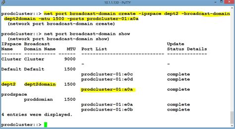 Remote Infrastructure Management Ontap 9 Network Management Tutorial