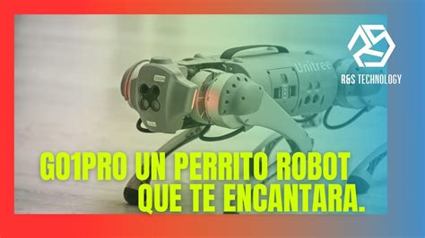 Go1pro El Perrito Robot Que La Esta Rompiendo