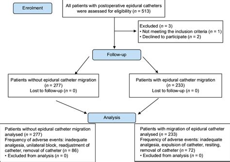 Participant Flow Diagram Download Scientific Diagram