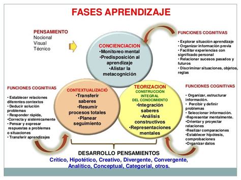 Mejora Tus Resultados Conoce Las 5 Fases Esenciales Del Aprendizaje