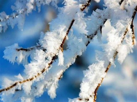 Презентация по русскому языку Зимние вариации