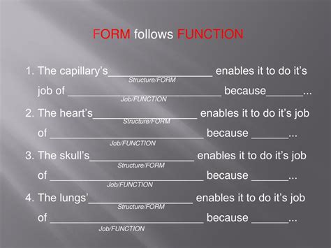 Ppt Form Follows Function Powerpoint Presentation Free Download Id