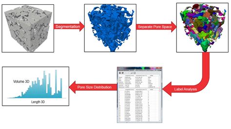Xtra Library For Thermo Scientific Amira Avizo And Pergeos Software Berea Pore Size