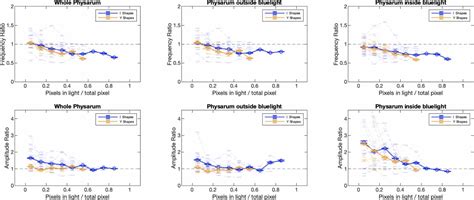 Network Topology Enables Efficient Response To Environment In Physarum