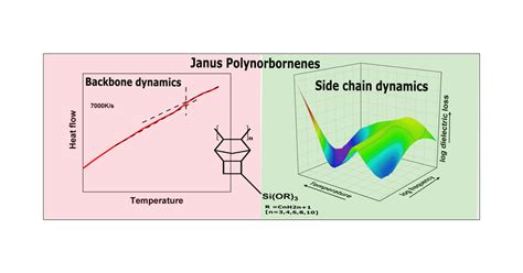 Molecular Dynamics Of Janus Polynorbornenes Glass Transitions And Nanophase Separation