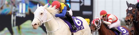 ソダシが初めての子供を出産！イクイノックスそっくりの流星とは？ Worldsportsnews