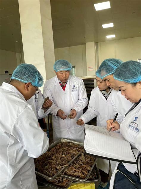 甘肃省药品监督管理局审核查验中心开展GAP检查员师带徒实训 企业官网