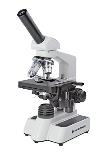 Los Mejores Microscopios Ópticos 【2024】
