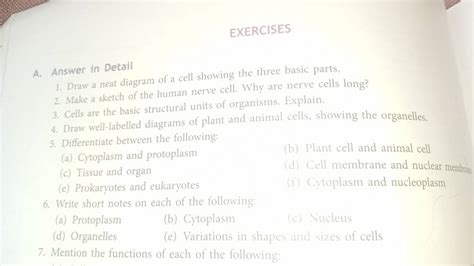 Exercises A Answer In Detail 1 Draw A Neat Diagram Of A Cell Showing Th
