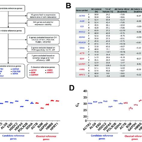 Assay Validation For Candidate Reference Genes And The Classical
