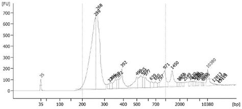 靶向测序gdna对照品及其制备方法与流程