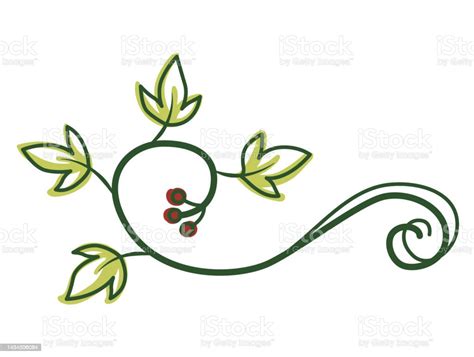 녹색 텍스트 구분선 페이지 구분 기호 디자인 라인 경계 월계관 식물이있는 유기 프레임 꽃 장식 요소 자연 번성 흰색에 고립 된