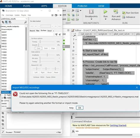 Import The Hcp Preprocessed Meg Through Scripts Discussions Brainstorm