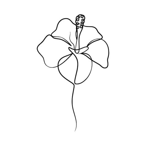 Premium Vector Continuous One Line Art Drawing Of Beauty Hibiscus Flower
