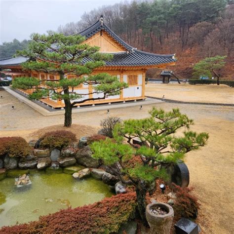 대구 달성군 하빈 카페 묘운 대구 핫플 한옥 카페 육신사 카페 충효당 사랑채 네이버 블로그