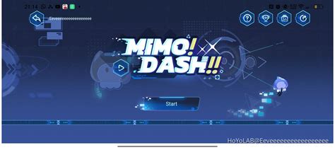 M Mimo Dash Hoyolab