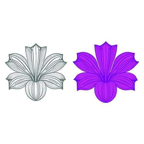 Premium Vector Lily Flower Vector Design
