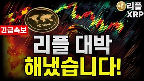 리플xrp 리플 대박 해냈습니다 Youtube