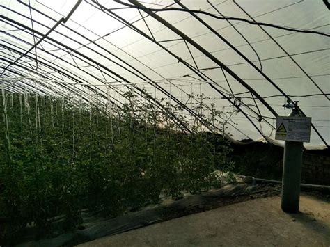 产品展示 北京望月科技 智慧农业智慧校园农业物联网