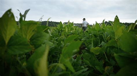 New Sustainable Fertilizer Production Research Collaboration Underway