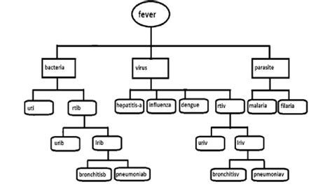 Decision Tree Showing Classification Of Fever Based On Different