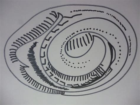 Roshni Goonraj Beeharry Logarithmic Spiral
