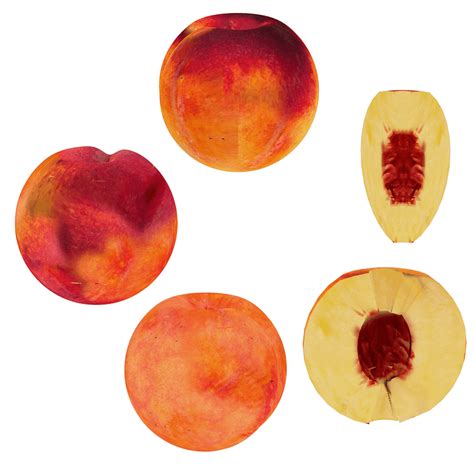 Set Of Peaches Free 3d Model On