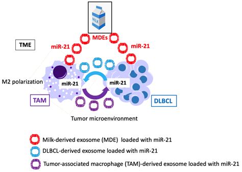 Potential Pathogenic Impact Of Cows Milk Consumption And Bovine Milk
