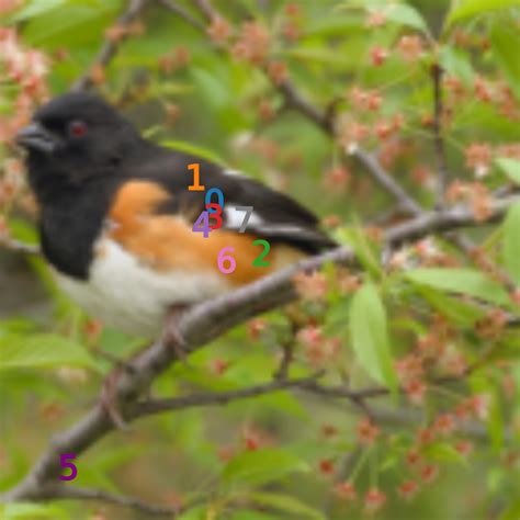 Unsupervised Keypoints From Pretrained Diffusion Models