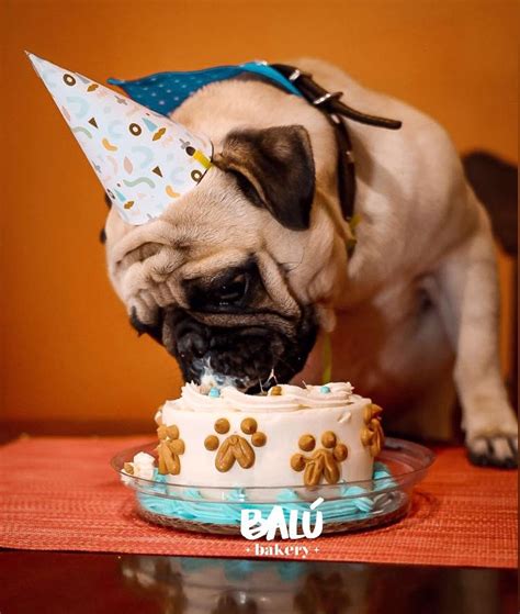 Balú Bakery Balú Bakery Added A New Photo