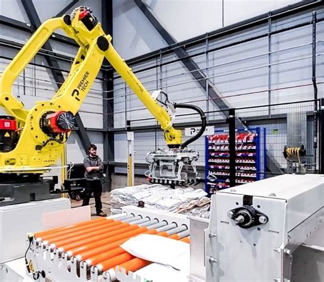 Entry Level Palletizing Robot Robotic Palletizer