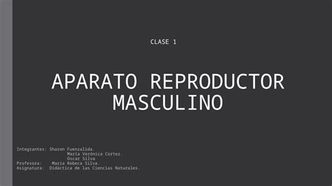 PPTX Clase Aparato Reproductor Masculino DOKUMEN TIPS